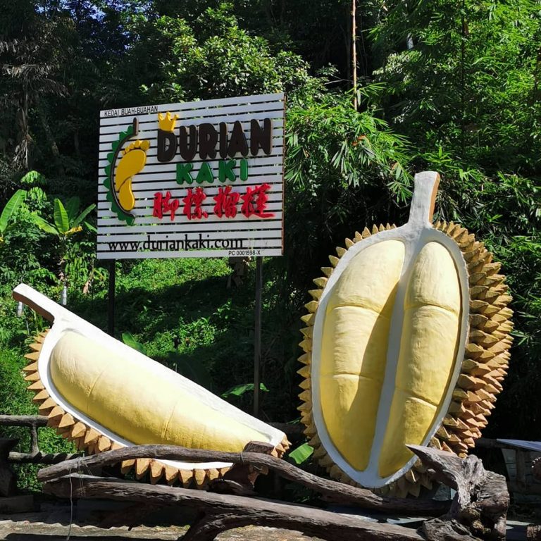 Places To Get Your Favourite Durian in Penang - George Town City