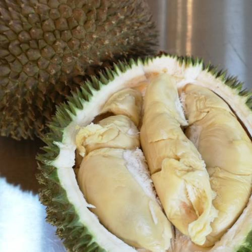 The Guide to Durian and How To Pick The Right One - George Town City